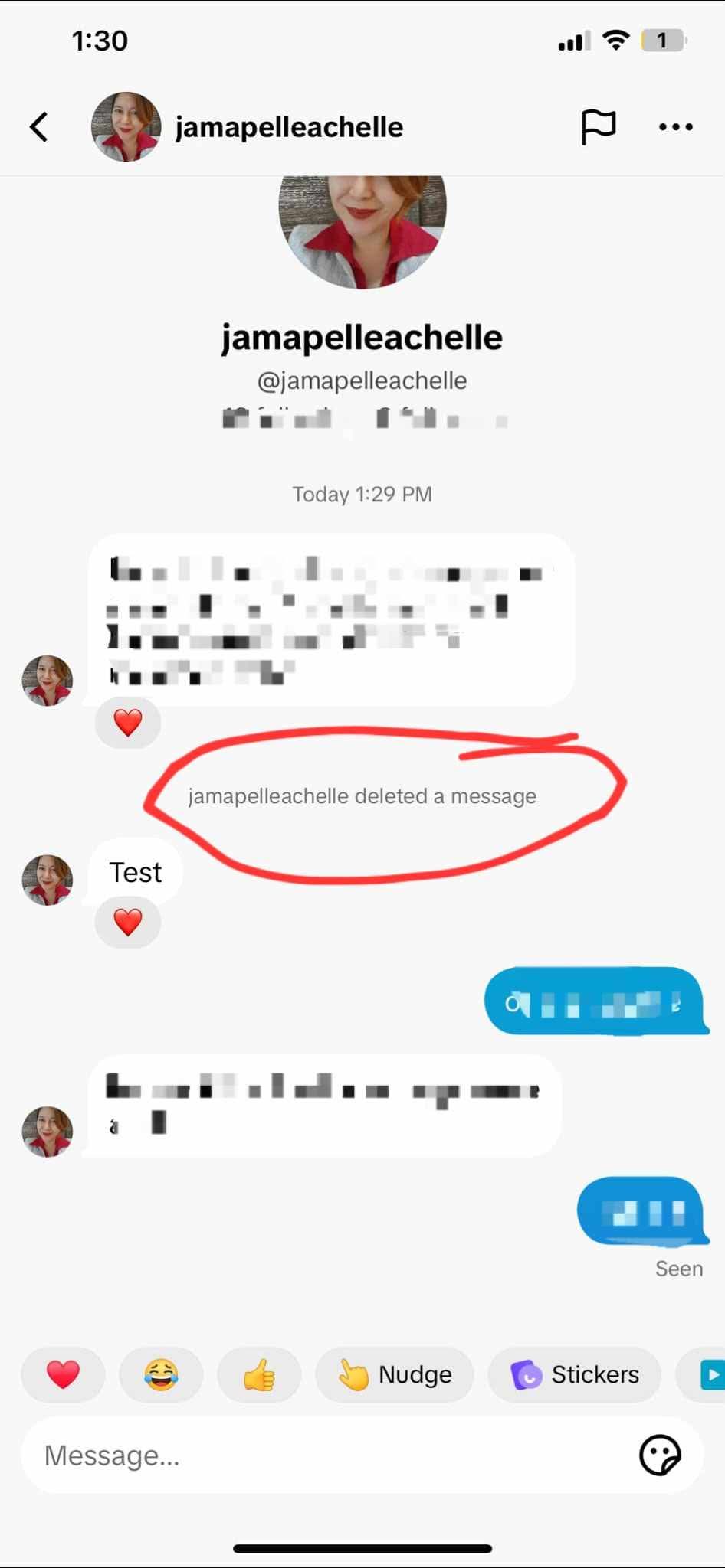If You Delete a TikTok Message, Does It Unsend? | High Social